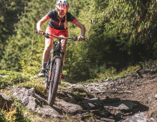 NOX Cycles 2020 – mehr Federweg, neue Motoren und noch mehr Farben ...