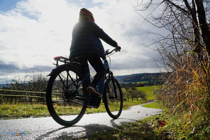 Velo de Ville CEB 590 – komfortables E-Bike für City und Trekking im ...