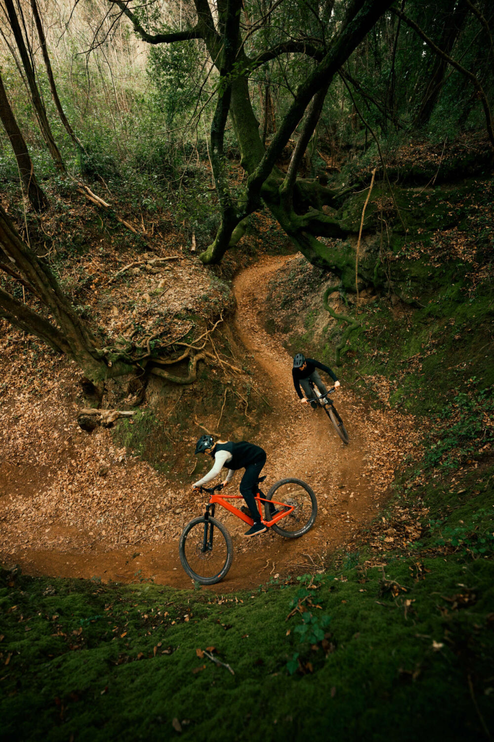 Rose 2024 – neues Bonero Plus E-Hardtail kommt mit TQ-HPR50 Antrieb ...